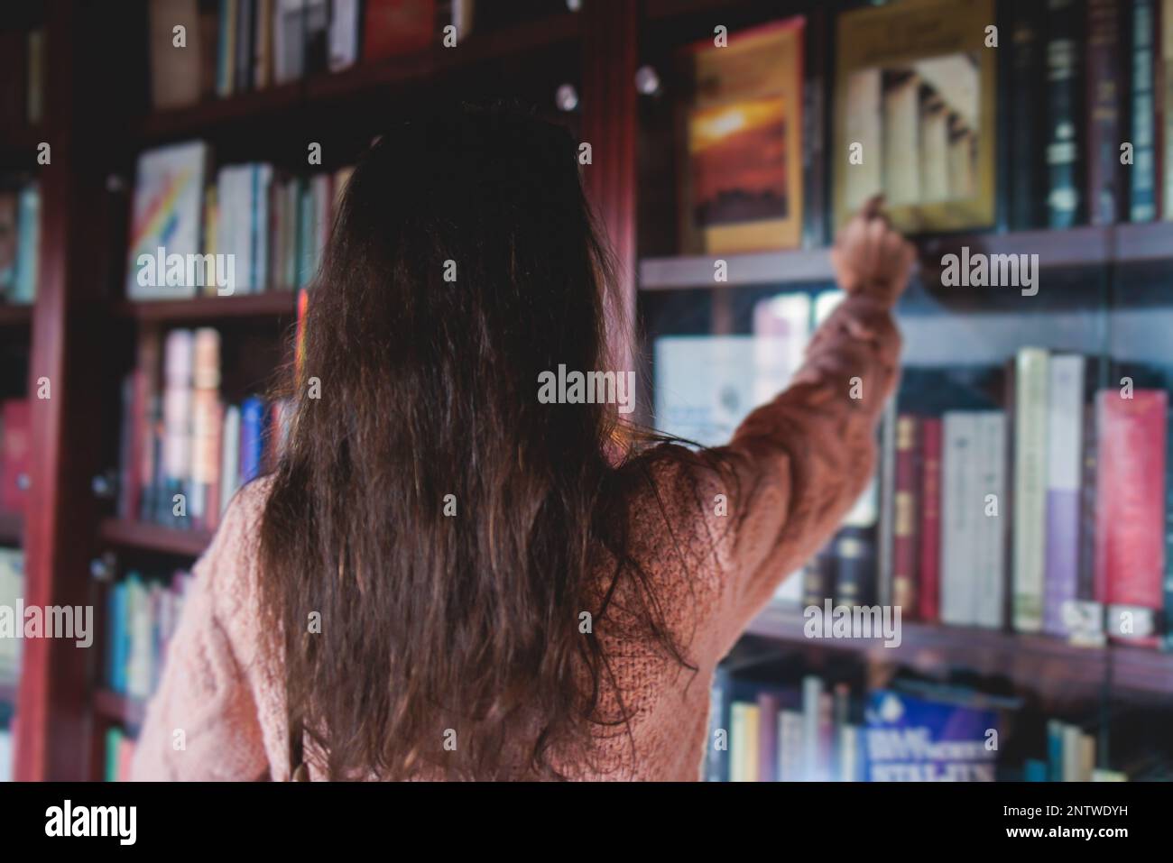 Student at the library, old university archive college interior with ...