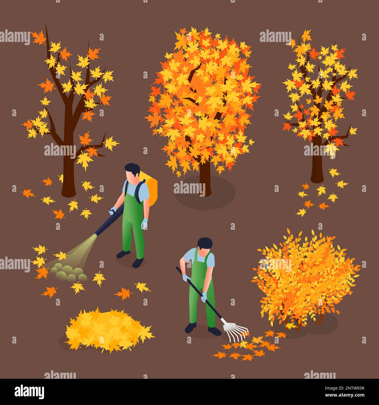 Cleaning autumn foliage isometric vector illustration with two male ...