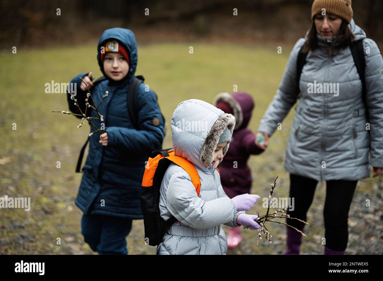 Mother with kids holding willow twigs while traveling in forest Stock ...
