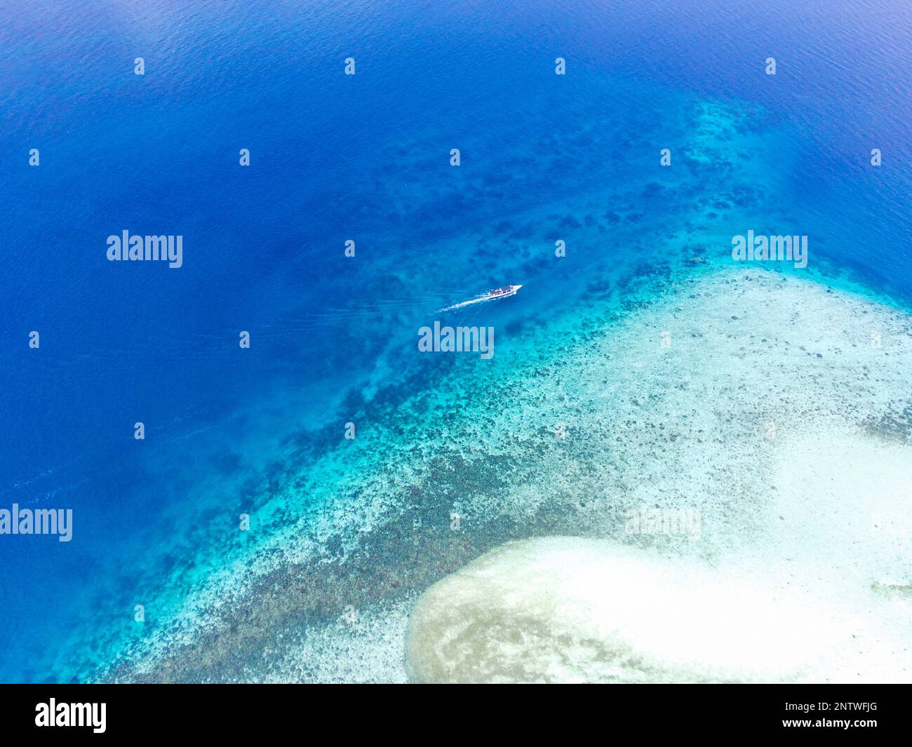 Boat sails around the Menjangan island of Bali Straits. Indonesia ...