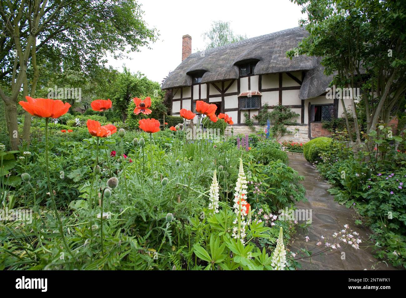 Anne Hathaway's cottage in the village of Shottery, Stratford upon Avon ...