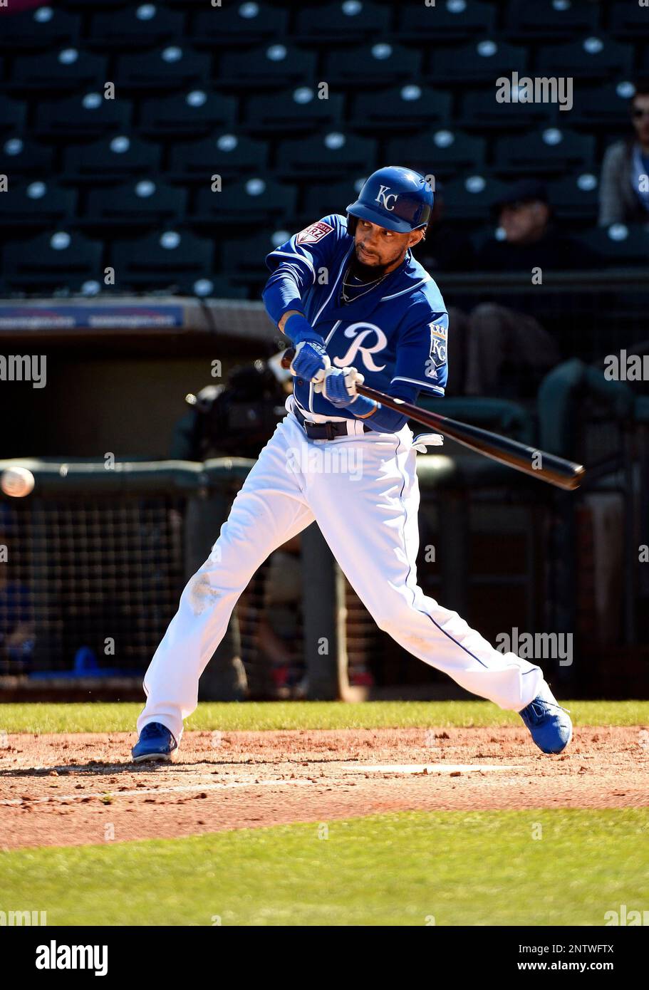 Kansas City Royals outfielder Billy Hamilton hits during a MLB spring ...