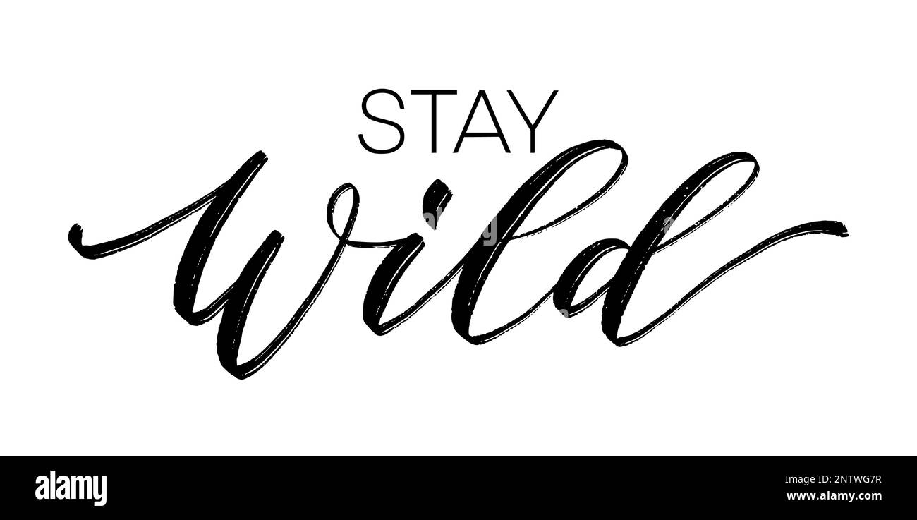 STAY WILD. Motivation Quote. Calligraphy text stay wild. Black word on ...