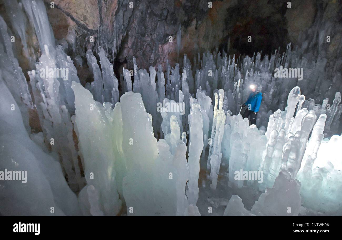 A photo shows ice stalagmites seen at a cave in Nanae, Hokkaido on ...