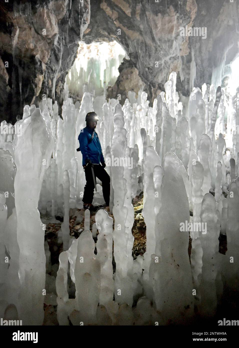 A photo shows ice stalagmites seen at a cave in Nanae, Hokkaido on ...