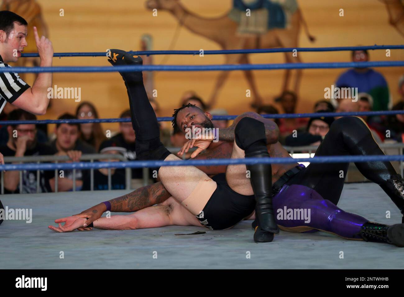 AKRON, OH - FEBRUARY 23: Pretty Boy Smooth pins Hot Sauce Tracy ...