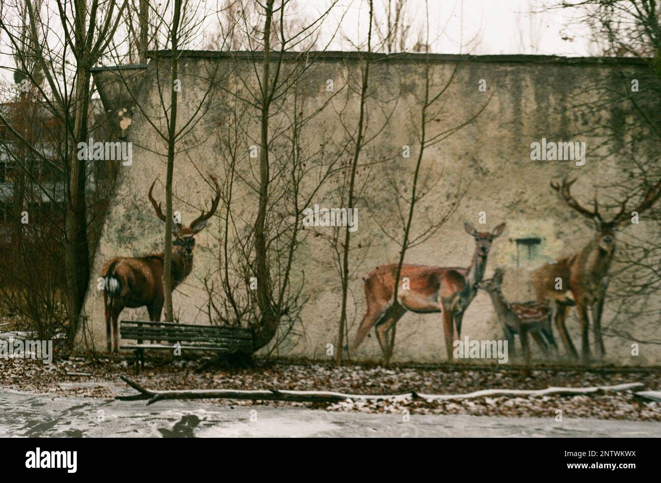Pripyat is a ghost town located in northern Ukraine Stock Photo - Alamy