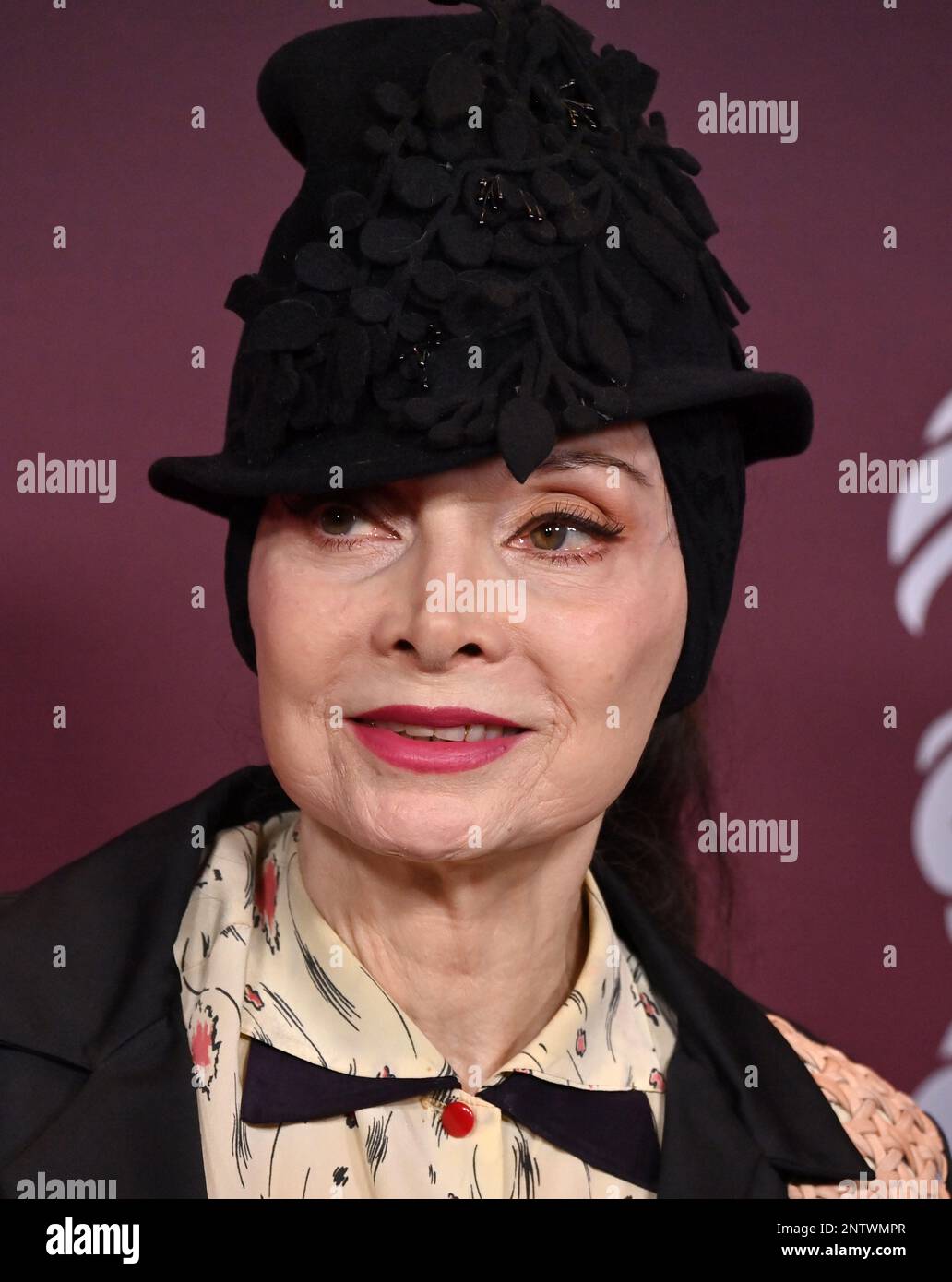 Toni Basil arriving at the 25th Costume Designers Guild Awards held at ...