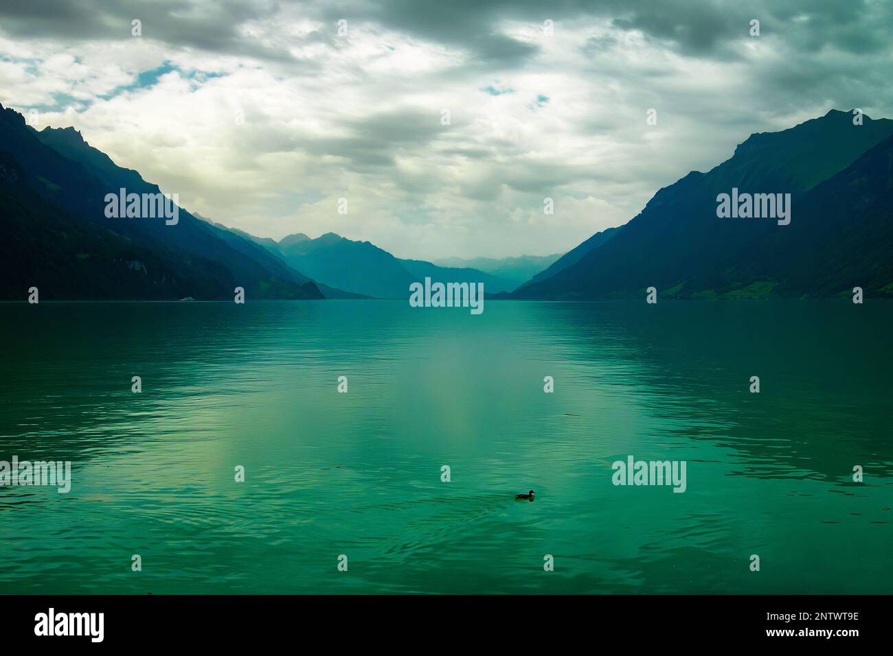 View of Lake BrienzSee, near Interlaken, Switzerland Stock Photo - Alamy
