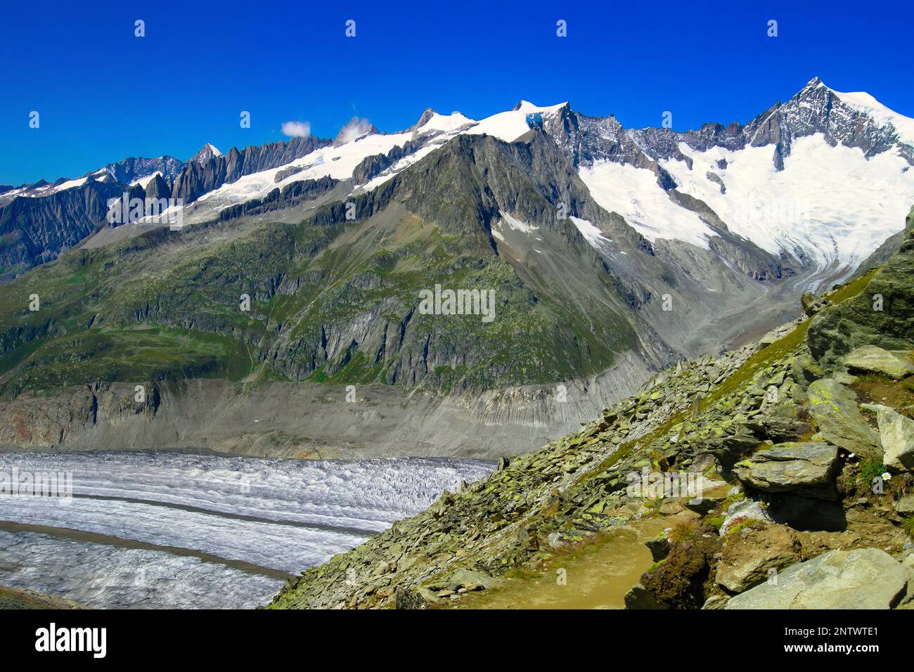 View from the Eggishorn viewpoint of the mountains around the ...
