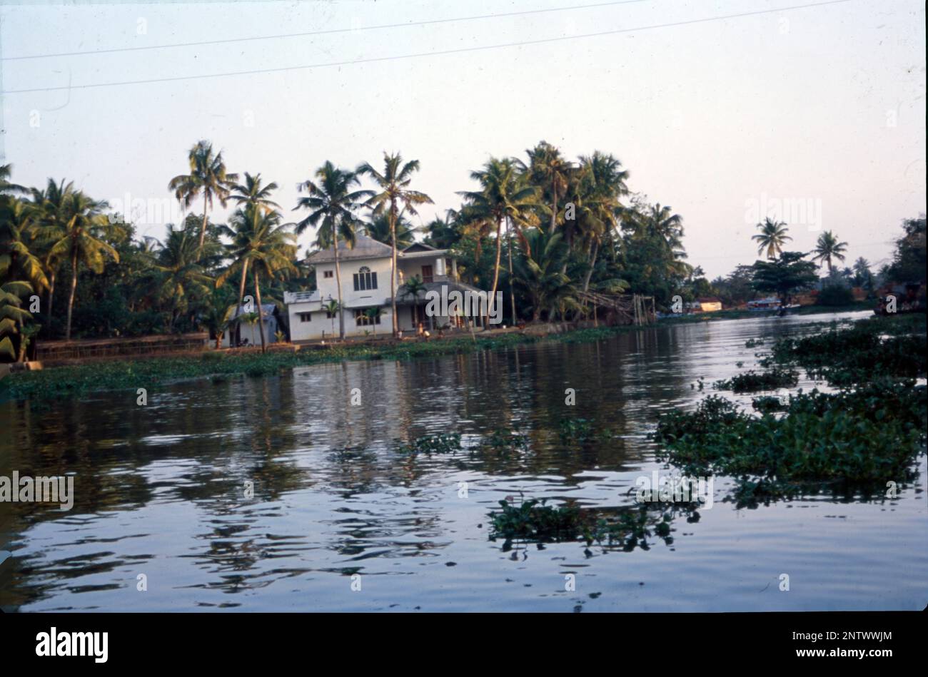 Kerala Houses:- The most distinctive visual form of Kerala architecture ...
