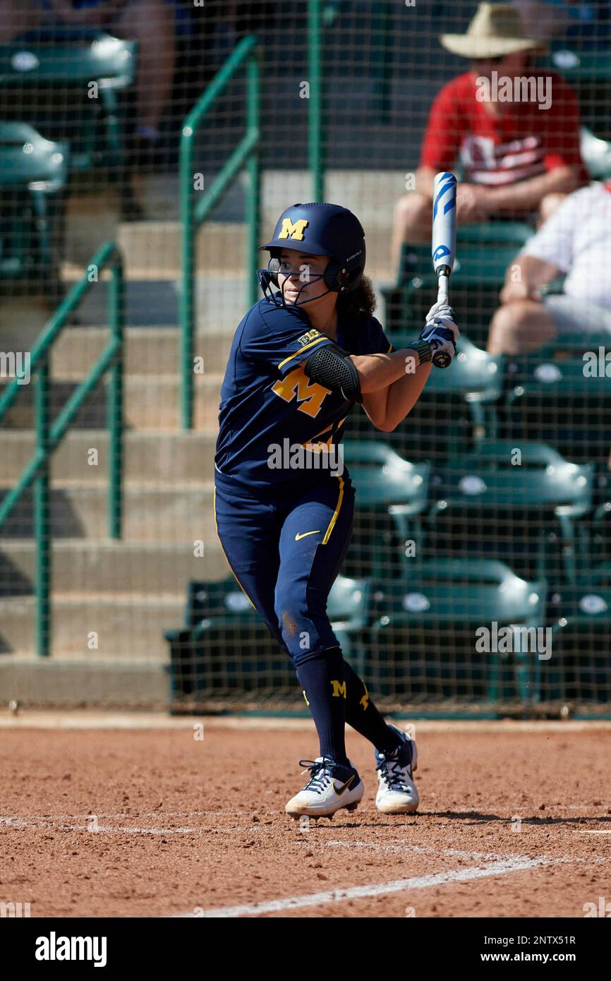 Michigan Wolverines Natalia Rodriguez (21) at bat during a game against ...