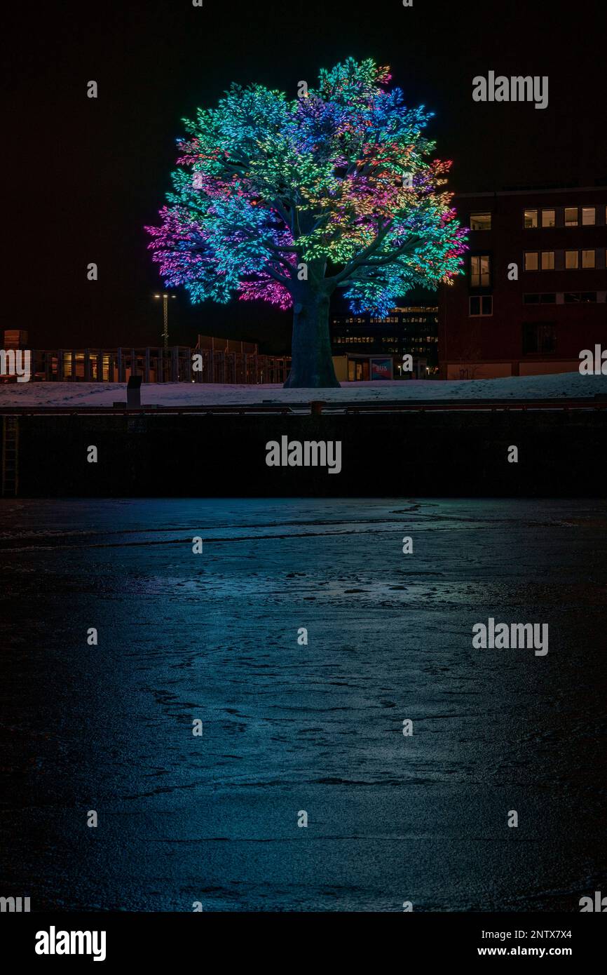 An illuminated tree at night during winter in Oslo Stock Photo - Alamy