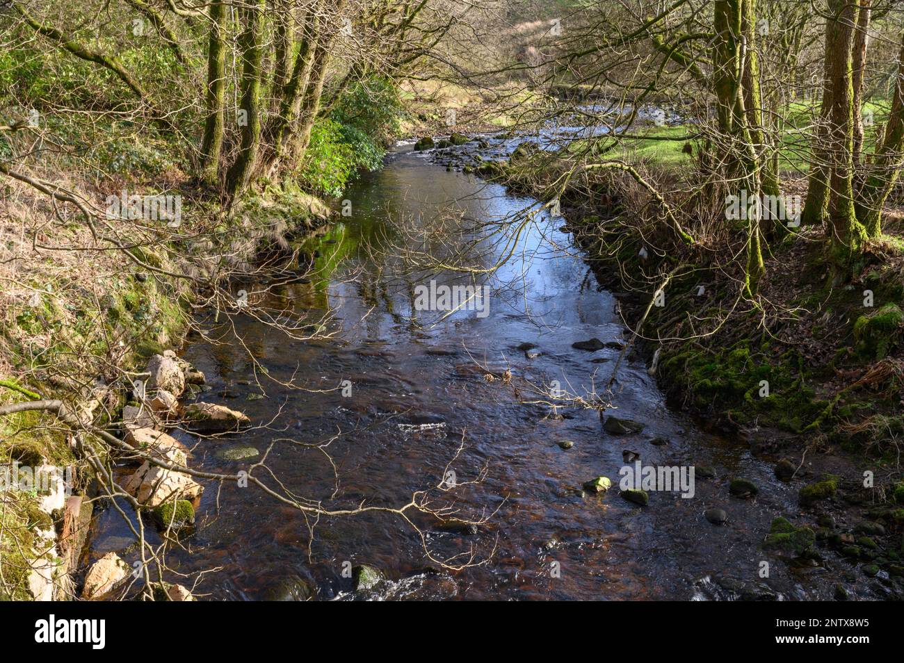 The Tarnbrook River Wyre at Ouzel Bridge near Tarnbrook, Forest of ...