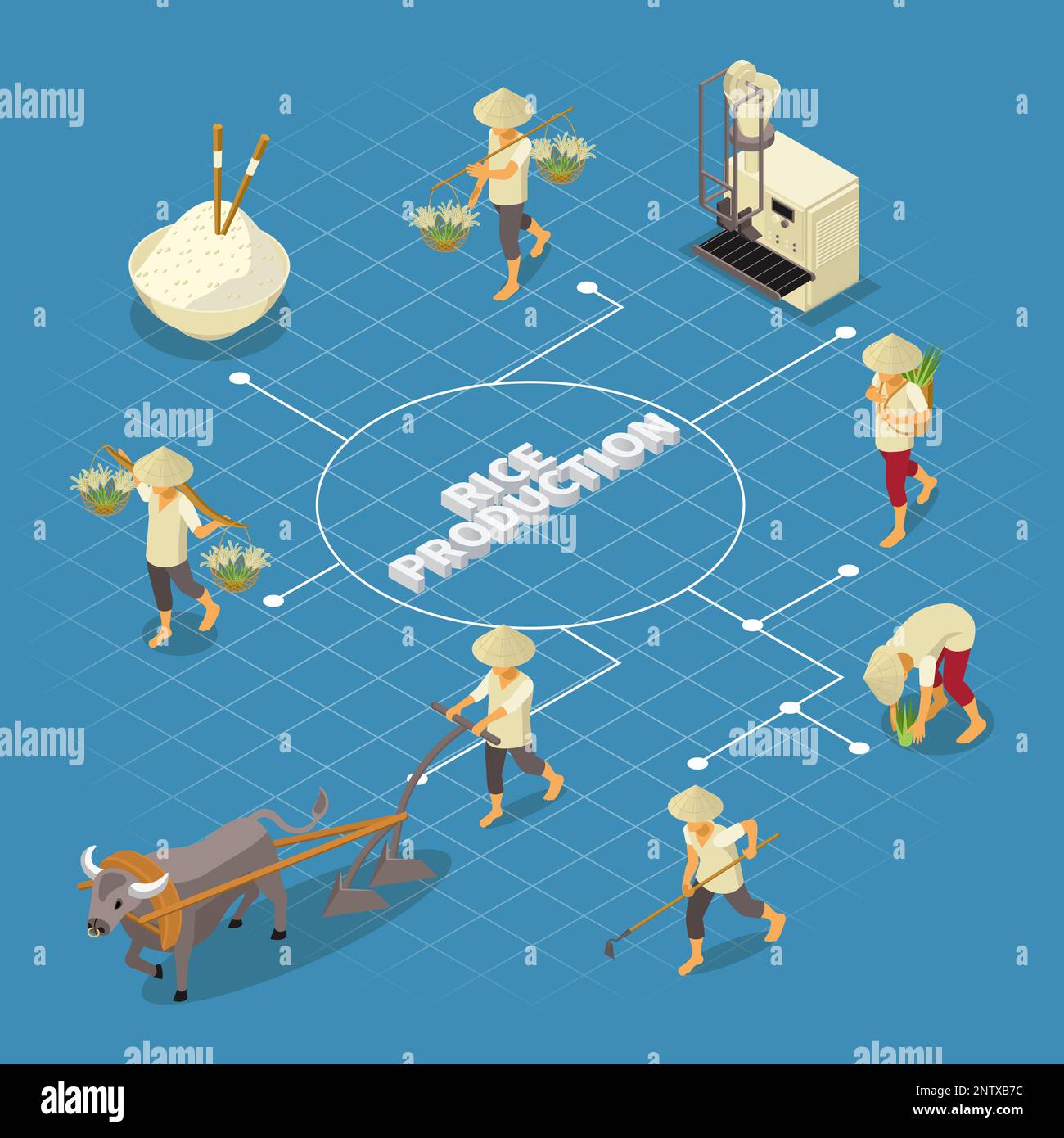 Rice production isometric flowchart composition with set of isolated ...