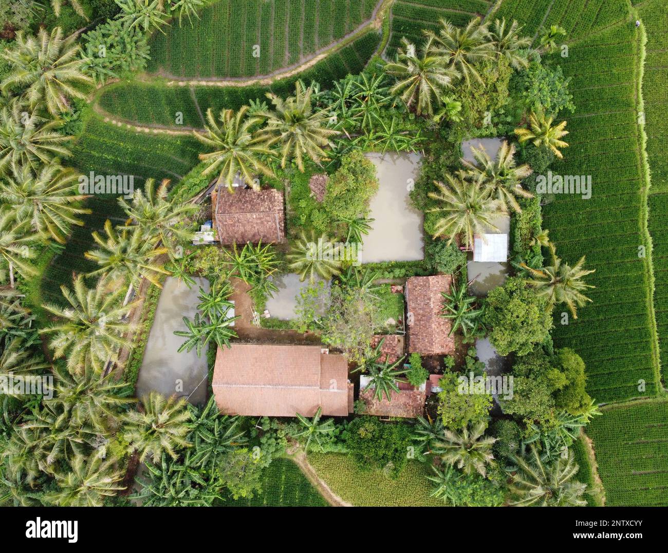 Ponds in the middle of the forest hi-res stock photography and images ...