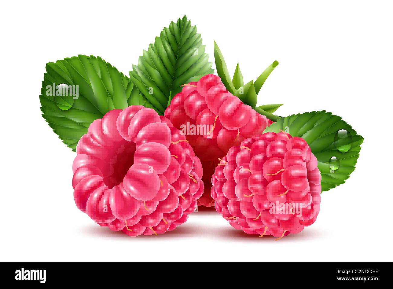 Realistic raspberry composition with fresh ripe berries and grean ...