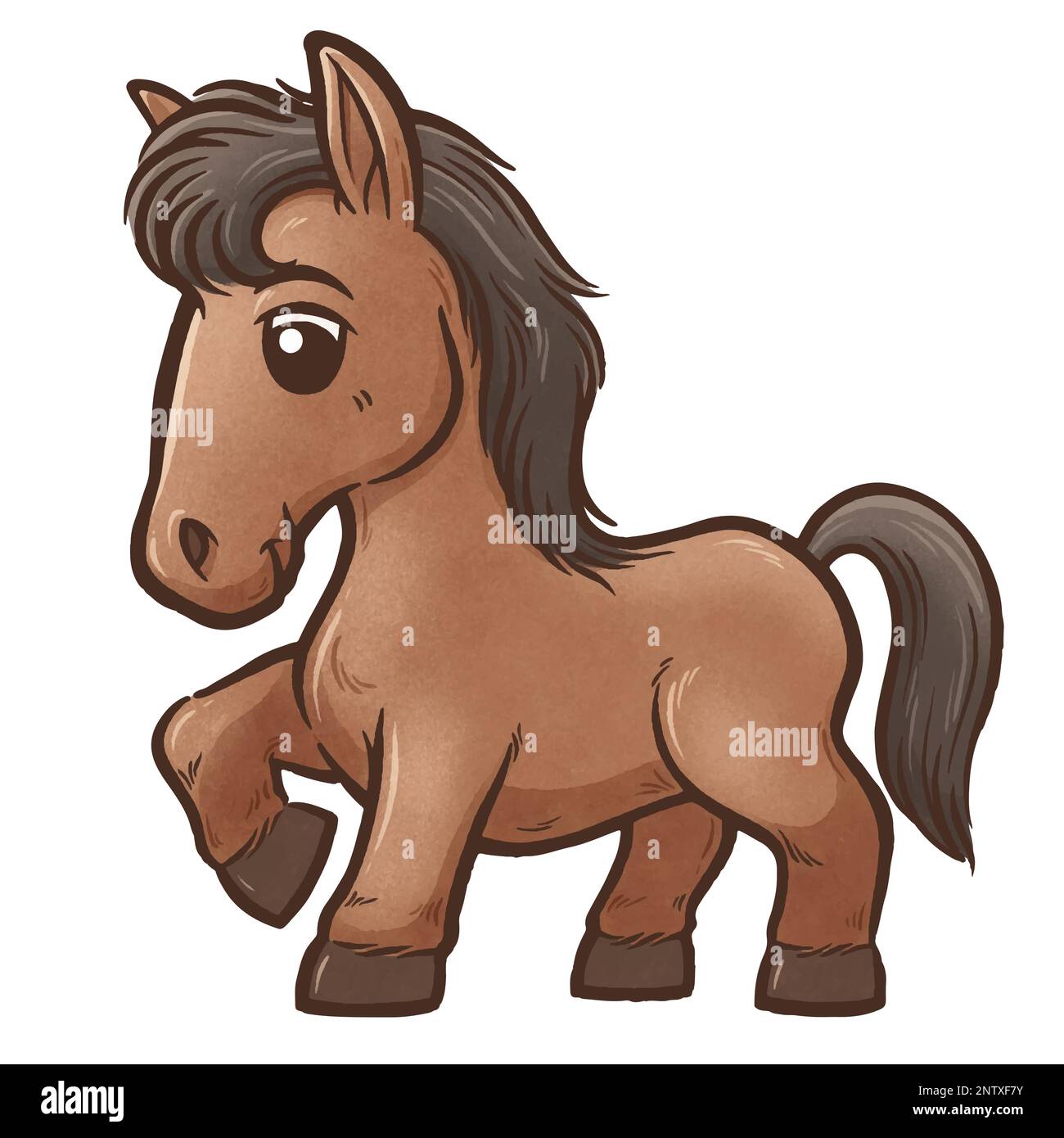 Cartoon Baby Horse