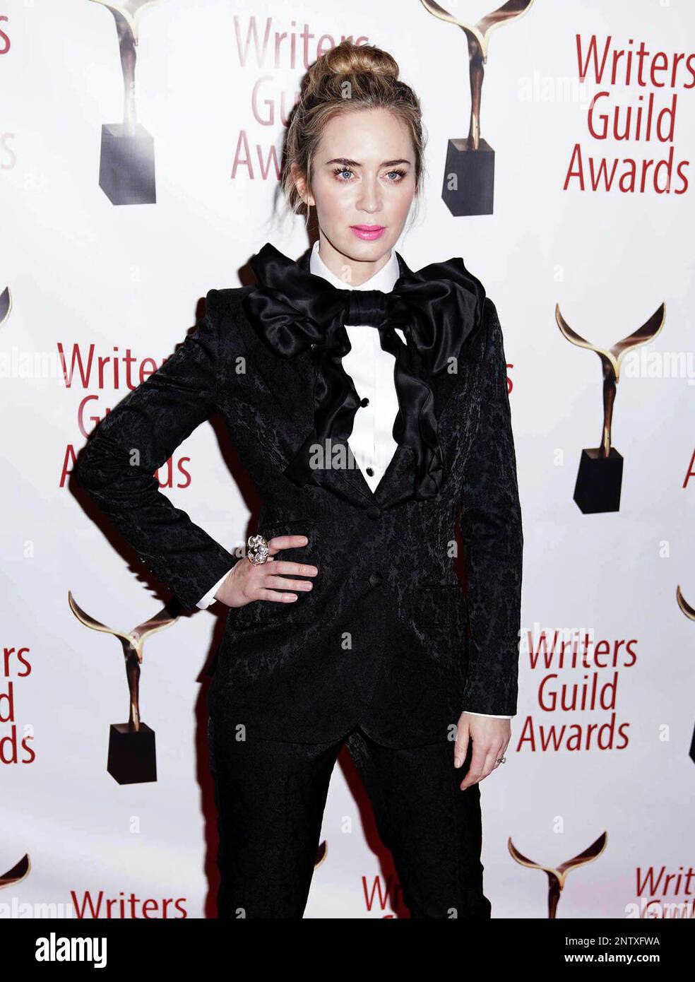 Photo by: zz/John Nacion/STAR MAX/IPx 2019 2/17/19 Emily Blunt at the ...