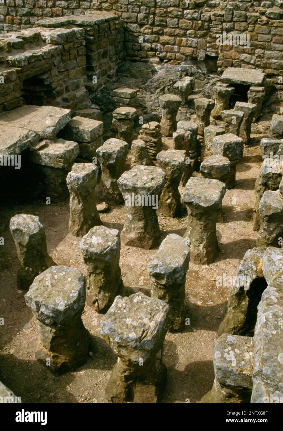 View N showing the hypocaust system (underfloor heating) in the dining ...