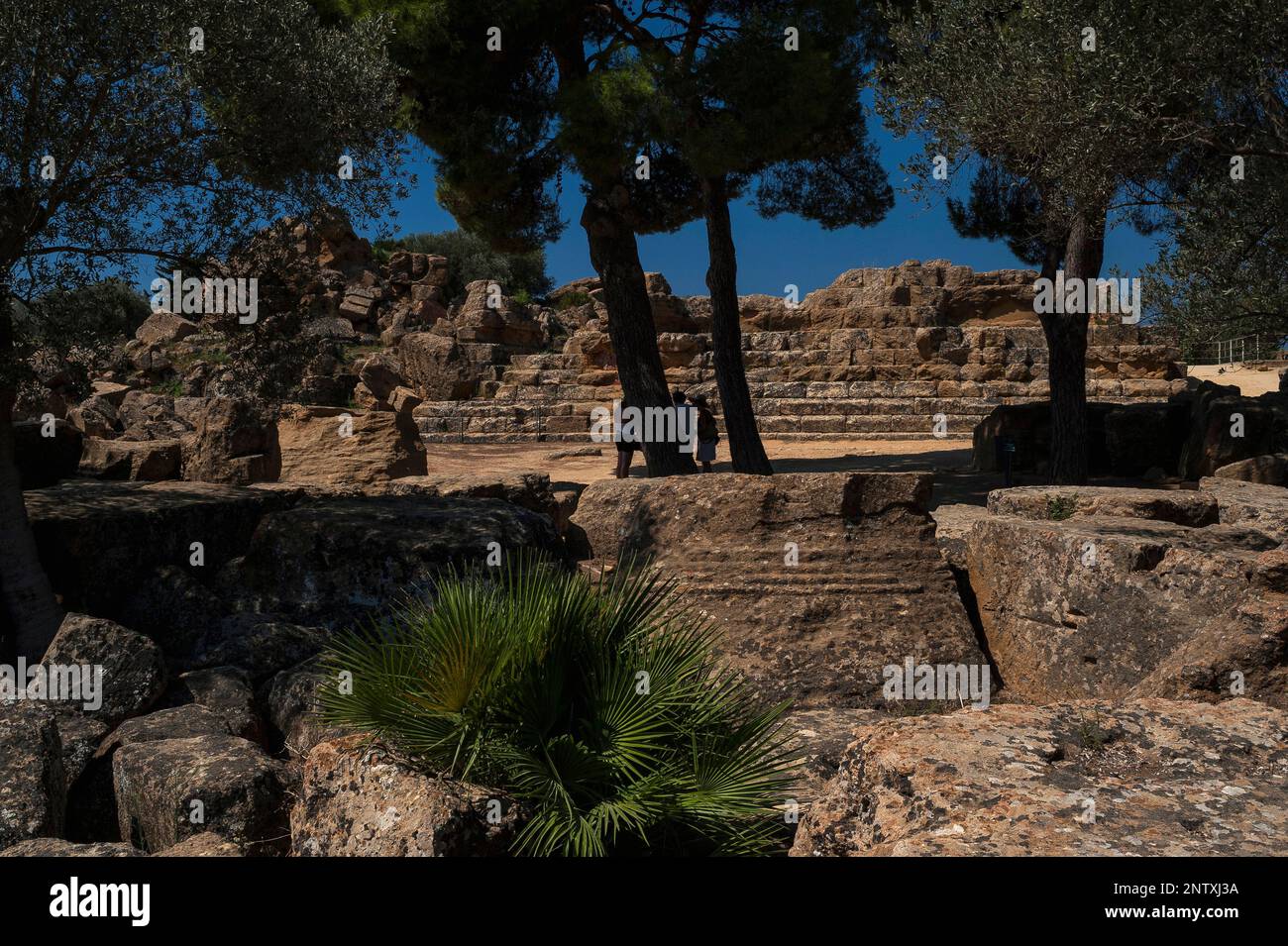 Stepped base and fallen masonry of the Ancient Greek Temple of Olympian ...