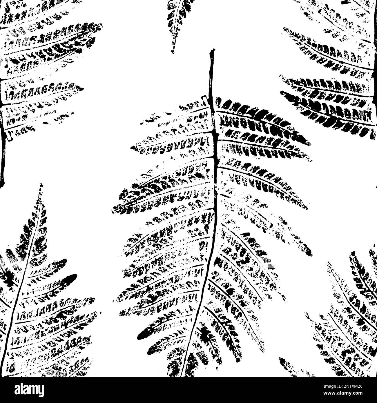 Botanical abstract background with fern leaves. Leaf ink prints ...