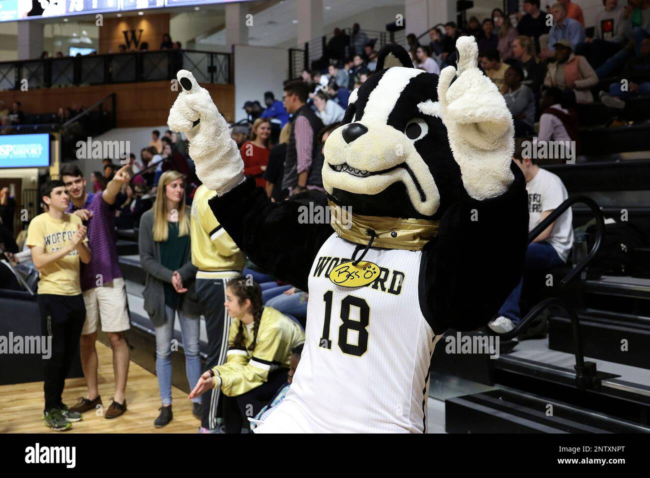 SPARTANBURG, SC - FEBRUARY 14: The Wofford mascot 'Boss' during a ...