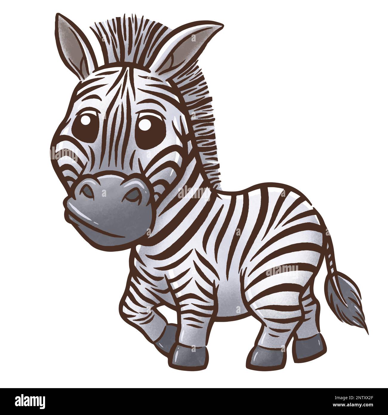 Vector illustration of Cartoon Zebra Stock Vector Image & Art - Alamy