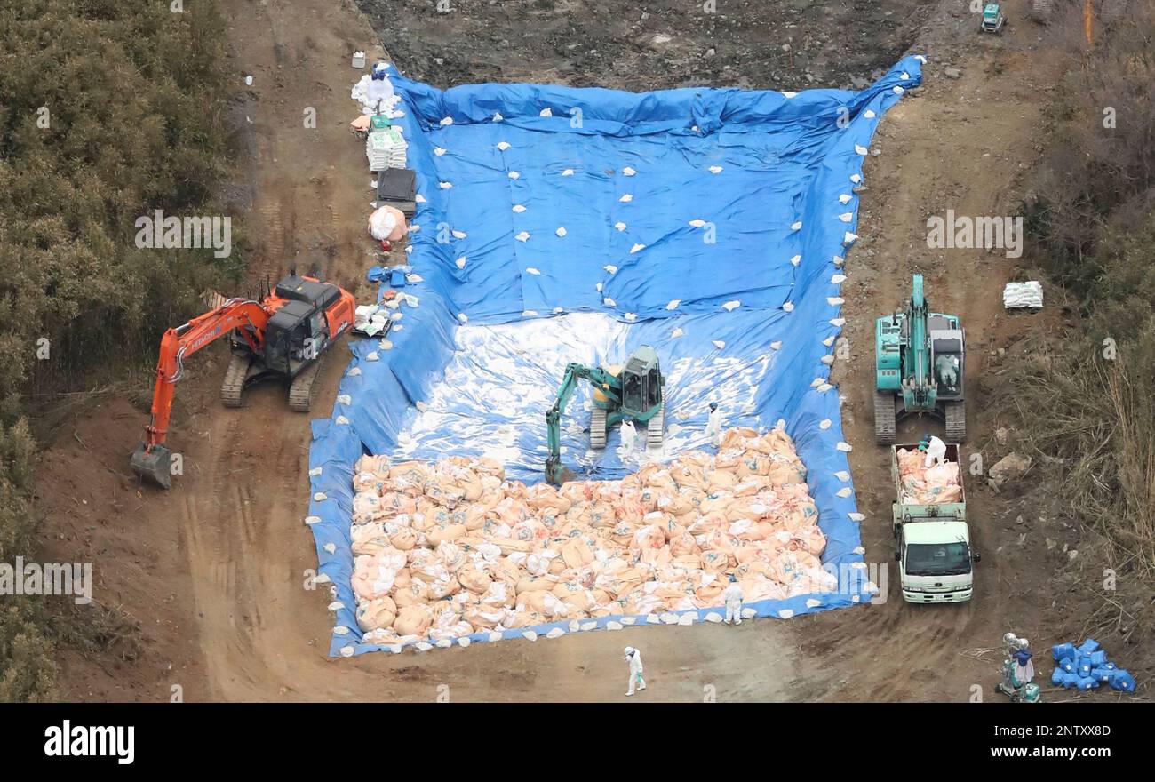An aerial photo shows a burying work of culled pigs in Tahara, Aichi ...
