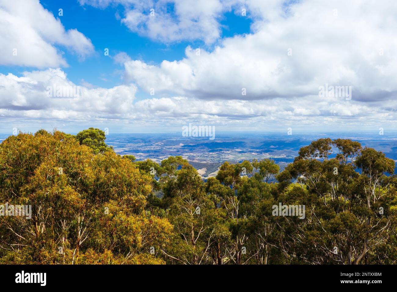 Summer Landscape at Mt St Leonard in Australia Stock Photo - Alamy