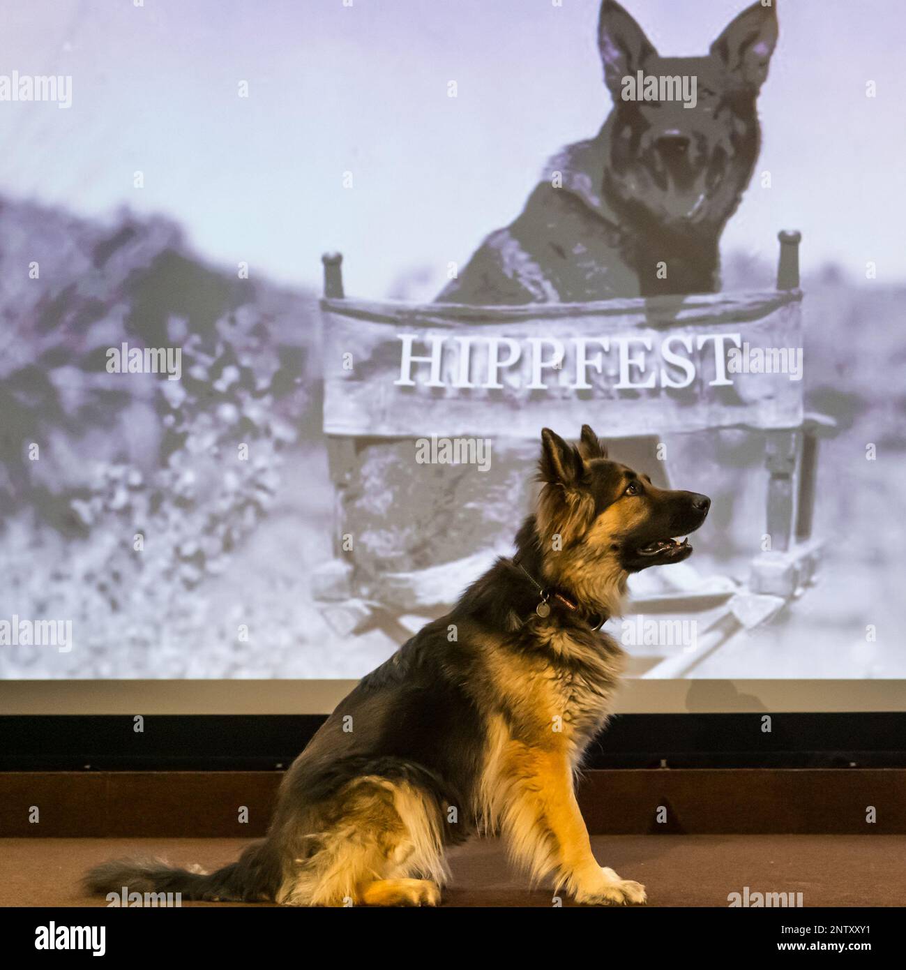 Hippodrome Cinema, Bo'Ness, Scotland, UK, 28 February 2023. Hippodrome ...