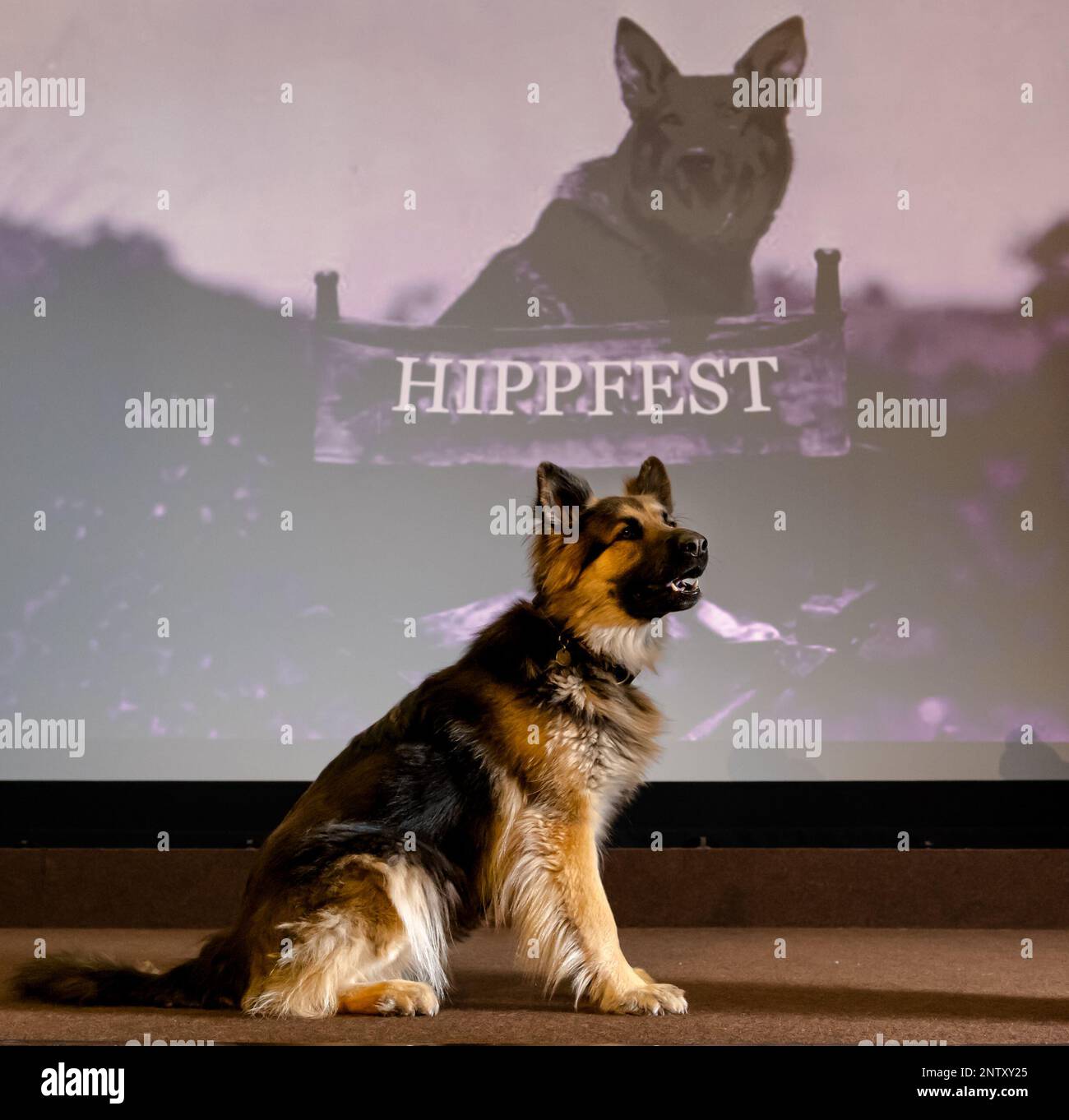 Hippodrome Cinema, Bo'Ness, Scotland, UK, 28 February 2023. Hippodrome ...