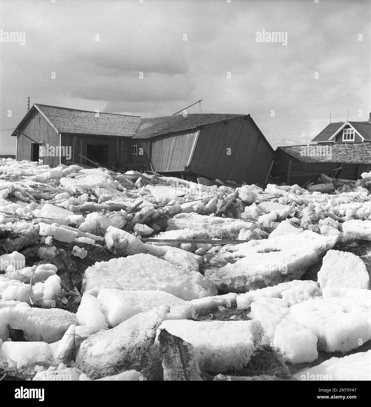 Natural disaster in the 1940s. In the early summer 20-23 may 1944, the ...