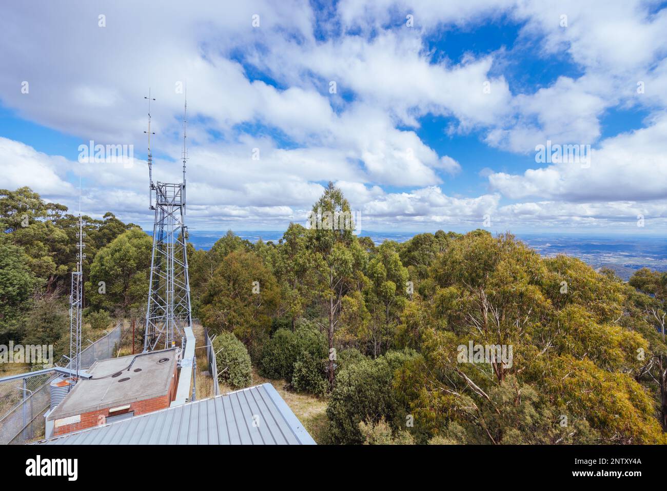 Summer Landscape at Mt St Leonard in Australia Stock Photo - Alamy