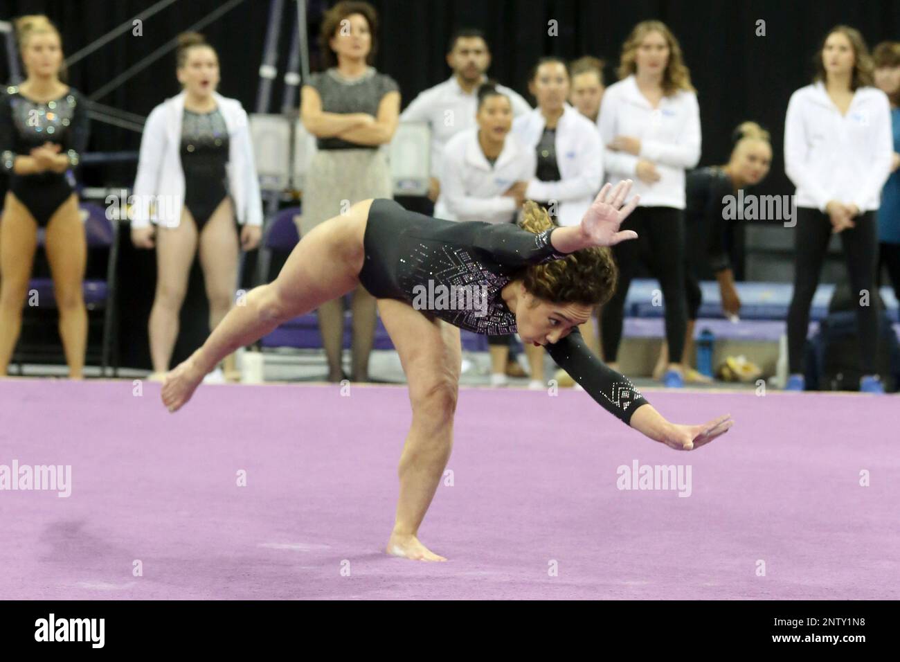 SEATTLE, WA - FEBRUARY 10: UCLA gymnast Katelyn Ohashi performs her ...
