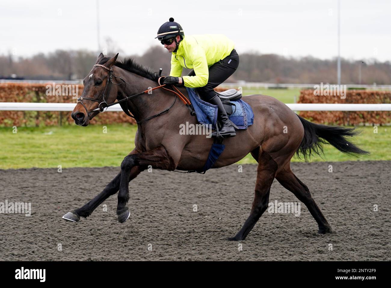 Constitution hill horse racing hi-res stock photography and images - Alamy