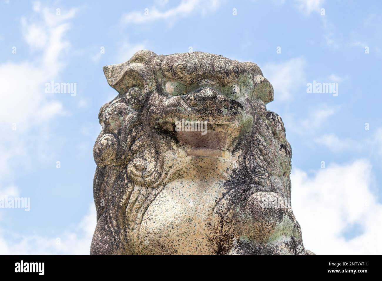 Komainu, or lion-dog, statue at shinto shrine, Japan Stock Photo - Alamy