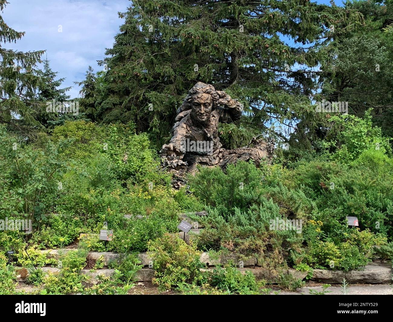 A sculpture of Swedish botanist, zoologist and physician Carl Linnaeus ...