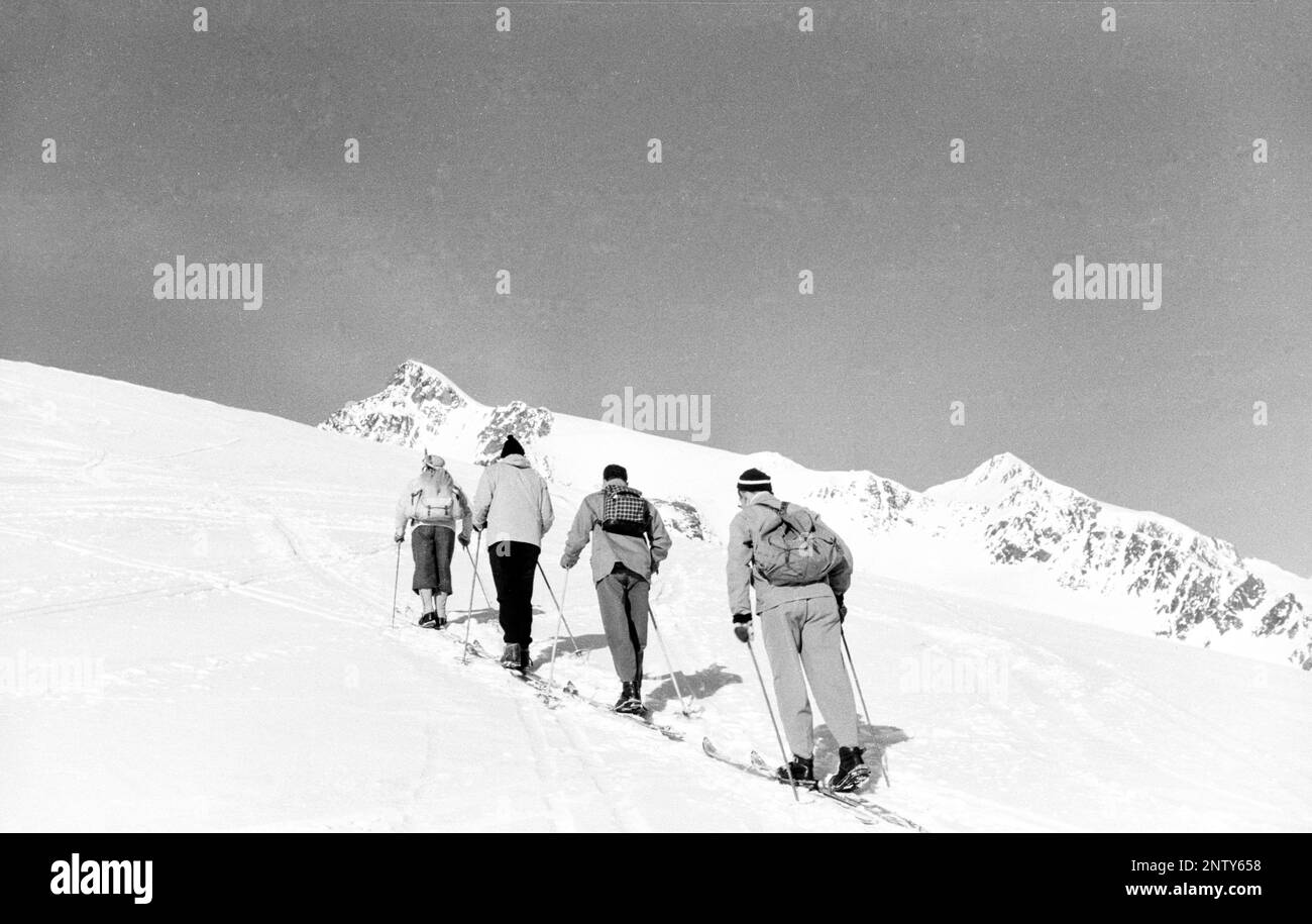 Ski tour in the 1950s, Wildspitze, Central Eastern Alps, Tyrol, Austria ...