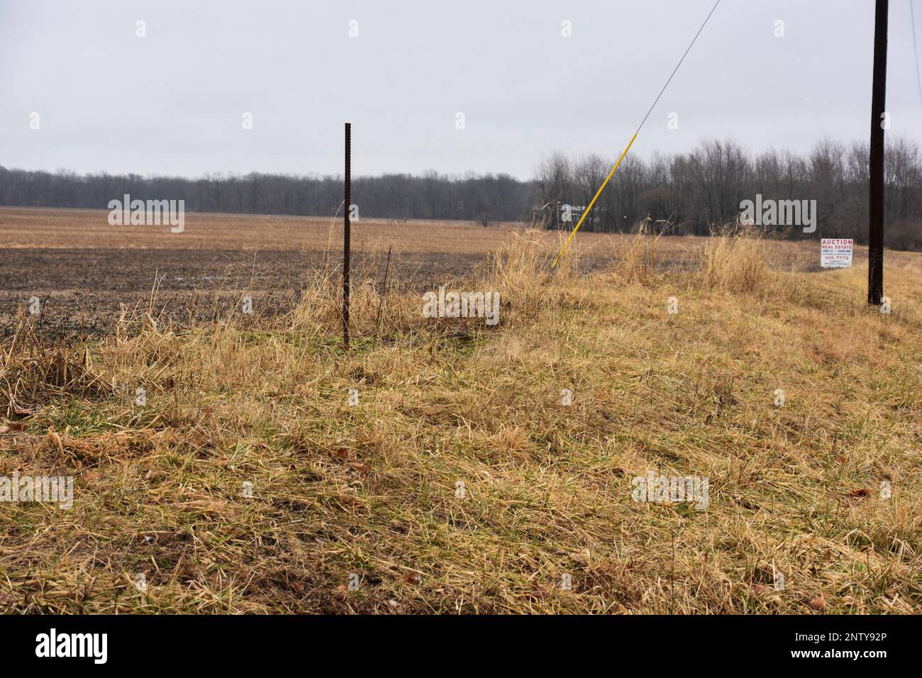 Farm ground once owned by Abraham Lincoln in southern Coles County near ...