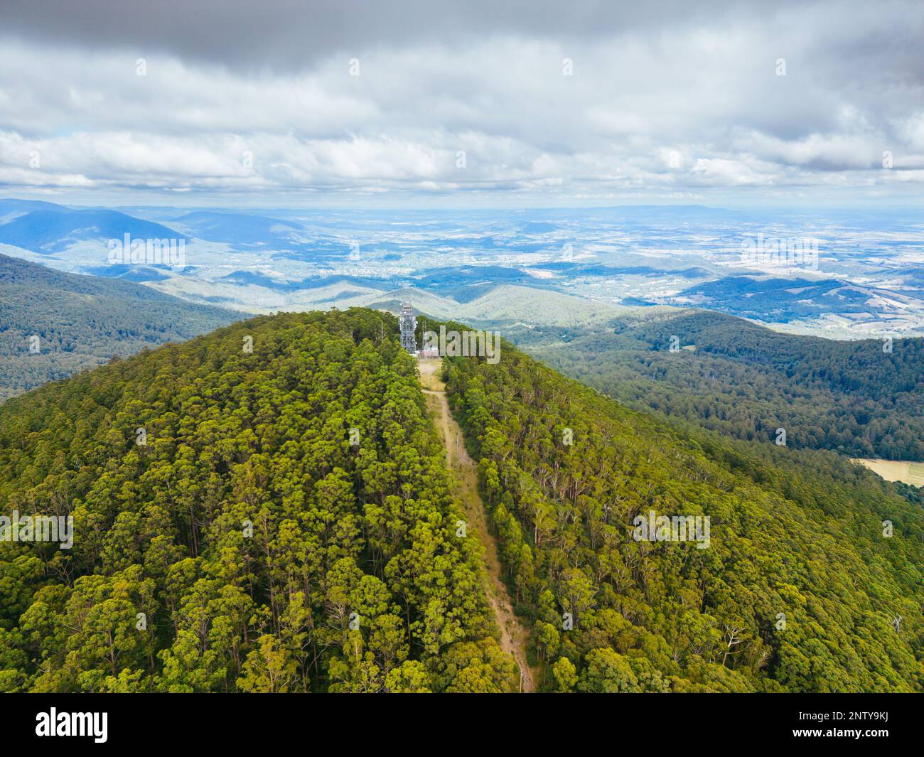 Summer Landscape at Mt St Leonard in Australia Stock Photo - Alamy