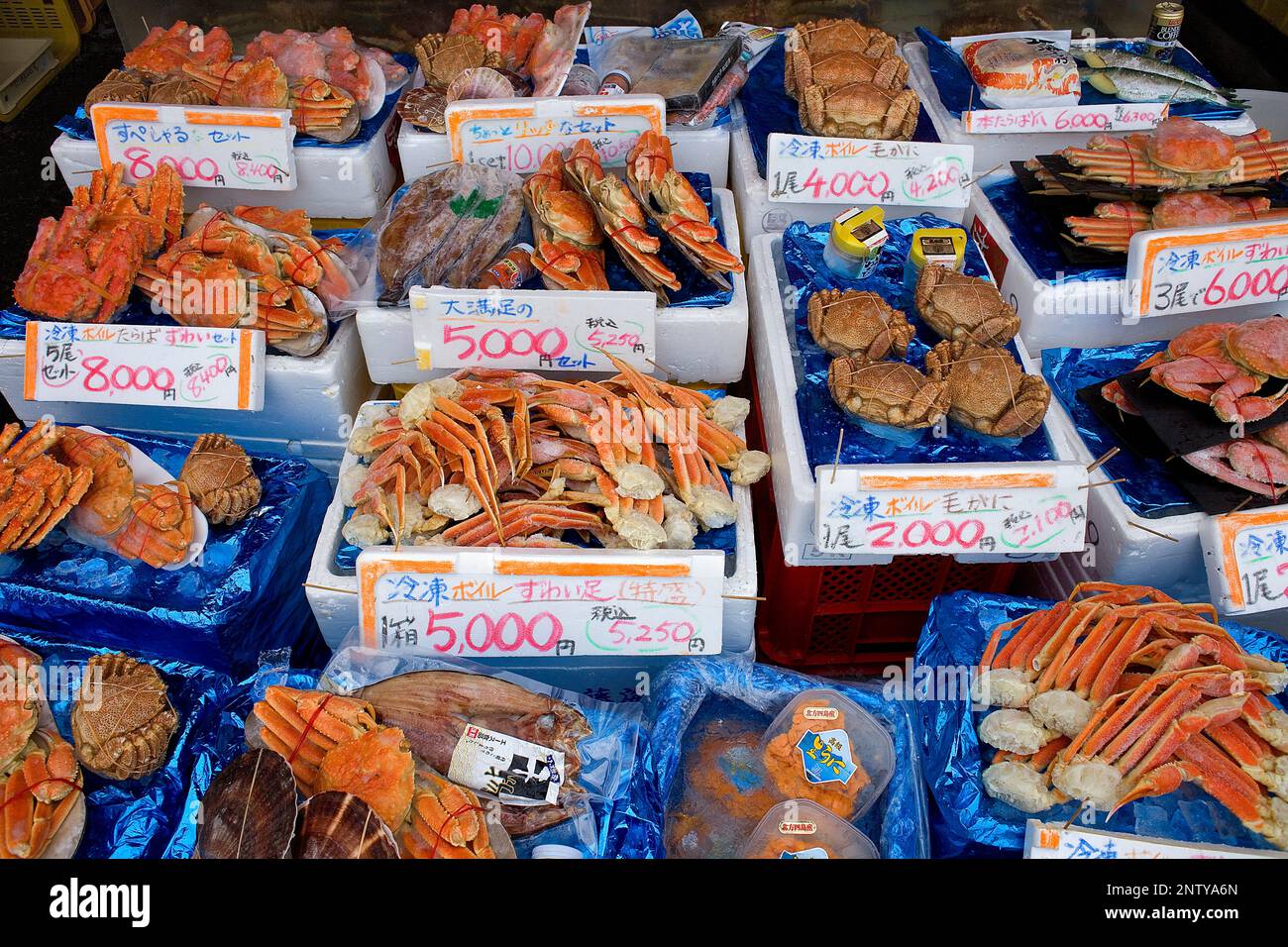 Fish market,Seafood for sale,Hakodate,Hokkaido,Japan Stock Photo - Alamy