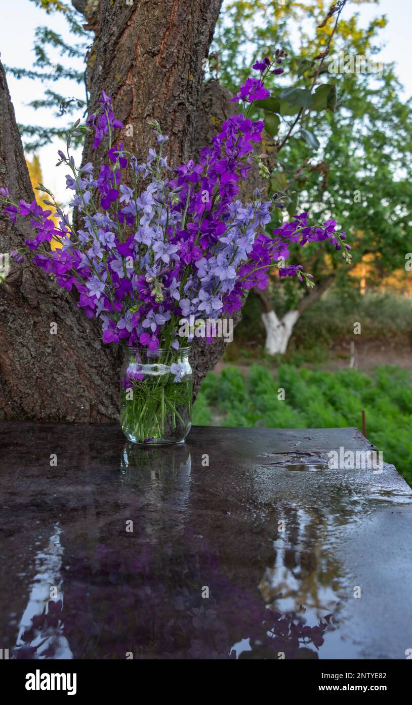 Beautiful bouquet of home flowers - blue and purple delphinium in a jar ...