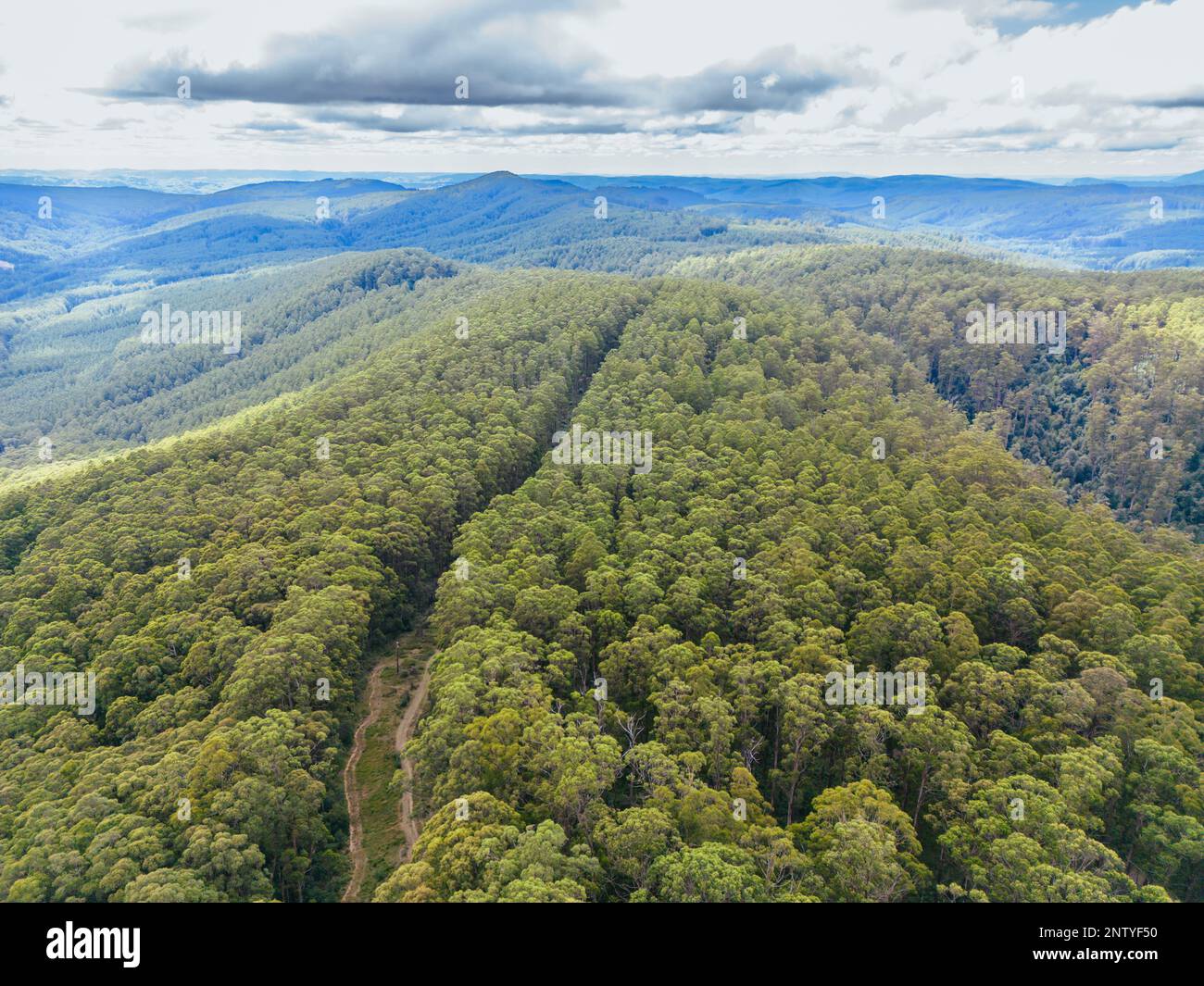 Summer Landscape at Mt St Leonard in Australia Stock Photo - Alamy