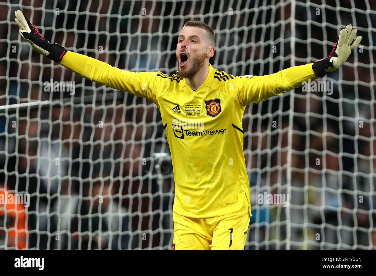David De Gea of Manchester United - Manchester United v Newcastle ...