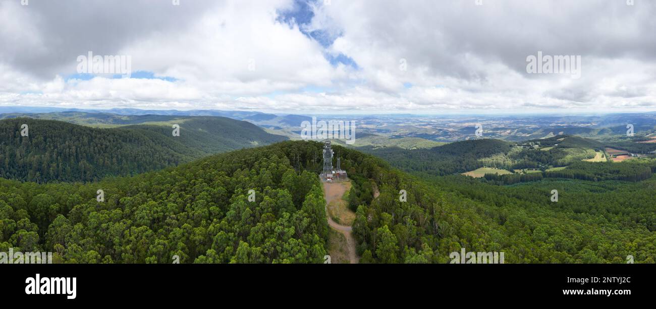 Summer Landscape at Mt St Leonard in Australia Stock Photo - Alamy
