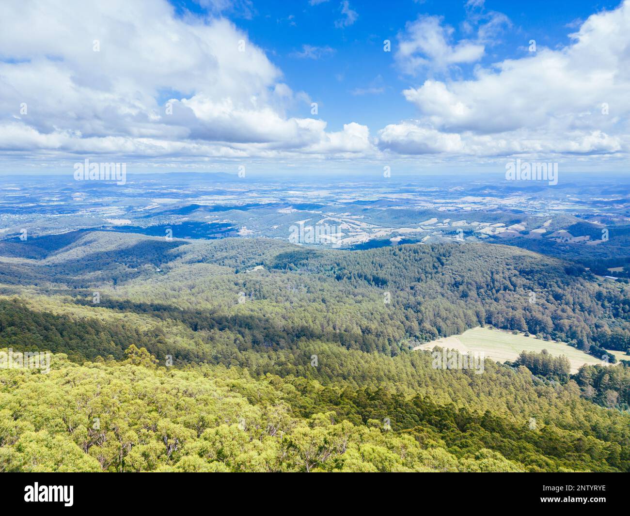 Summer Landscape at Mt St Leonard in Australia Stock Photo - Alamy