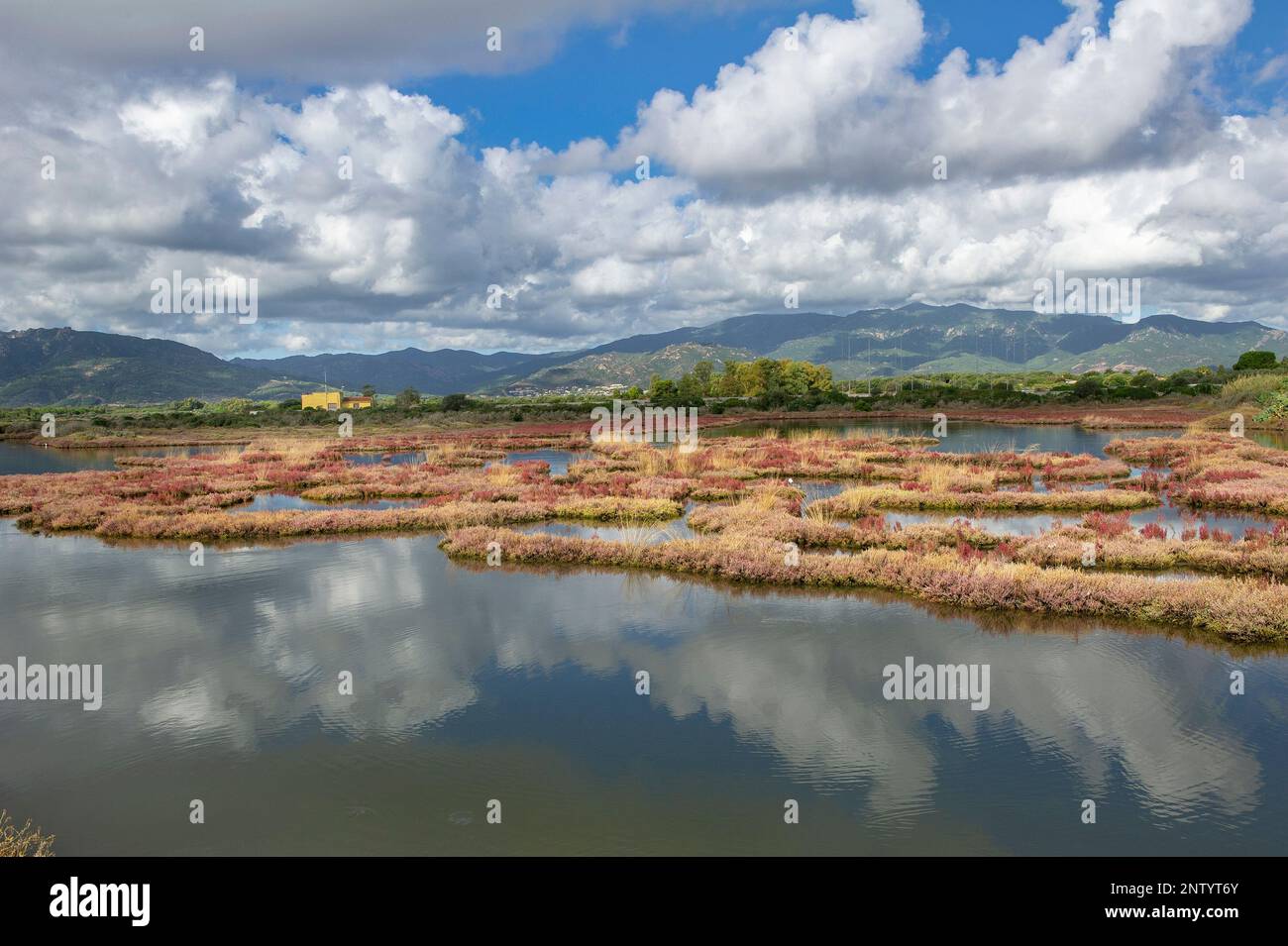 The nature reserve of the Laguna di Nora, Sardinia, Italy Stock Photo ...