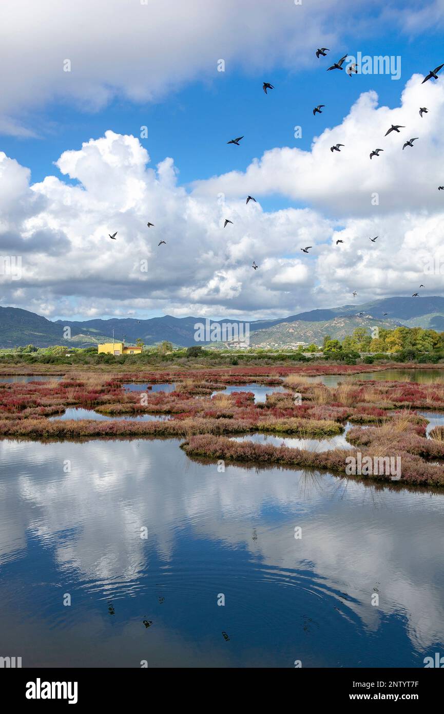The nature reserve of the Laguna di Nora, Sardinia, Italy Stock Photo ...