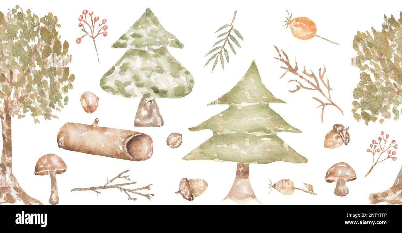 Watercolor hand painted forest trees seamless border. Woodland florals ...
